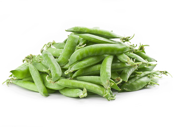 Pois -Liste- Variétés et semenciers du Québec – Jardin de l'oiseau moqueur