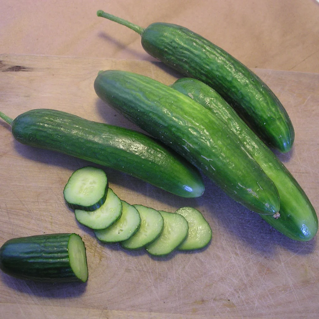 Concombre -Liste- Variétés et semenciers du Québec – Jardin de l'oiseau ...